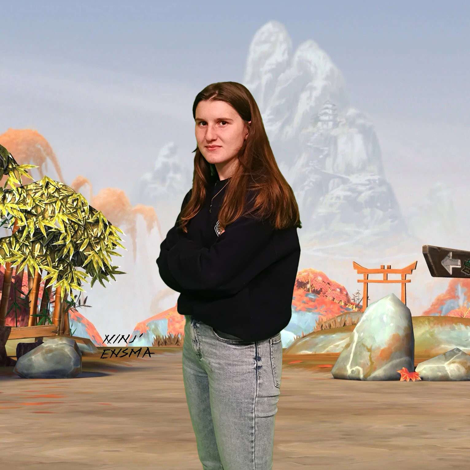 Fiona Guérin – BDE de l'ISAE-ENSMA